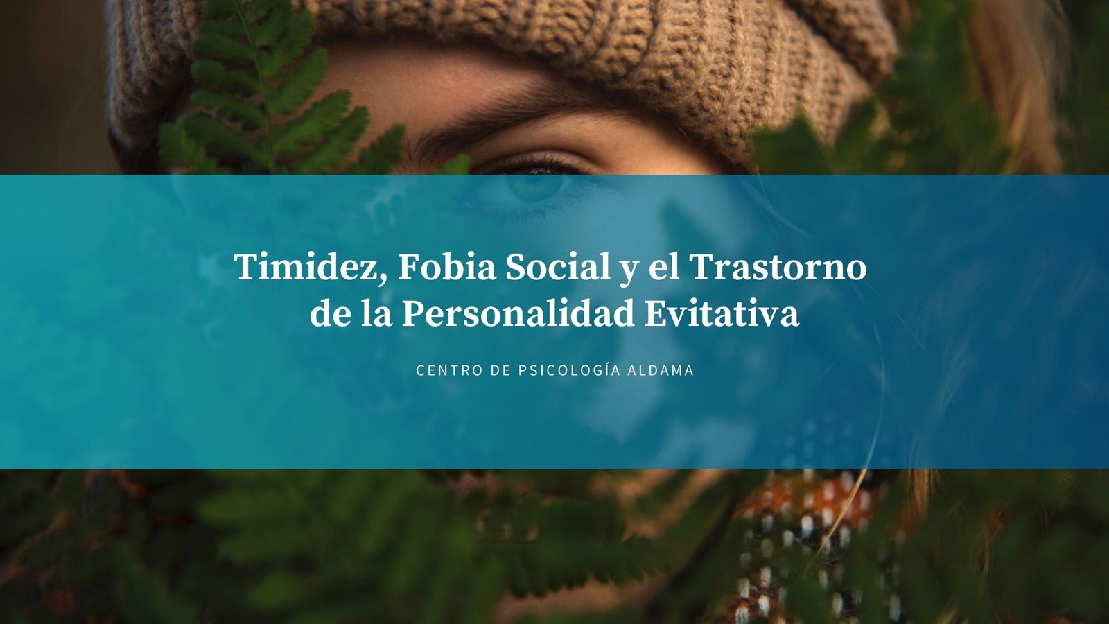 ¿Qué es el Trastorno de Personalidad Evitativa? | Psicólogos Bilbao